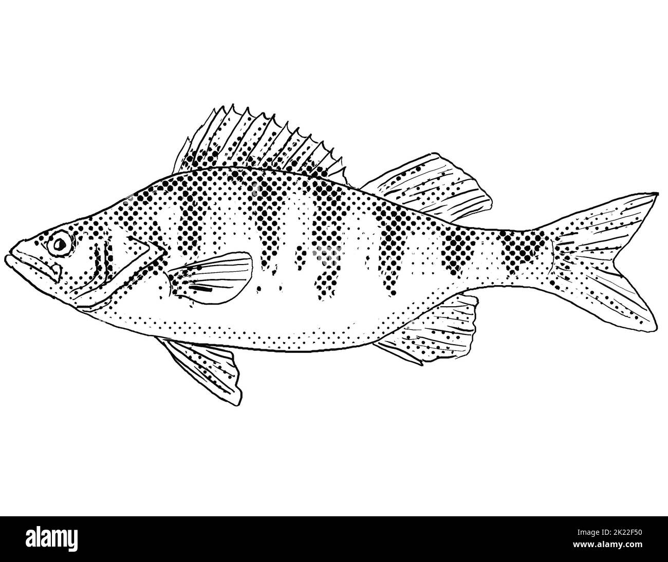 Cartoon illustration cartoon striped fish Black and White Stock Photos ...