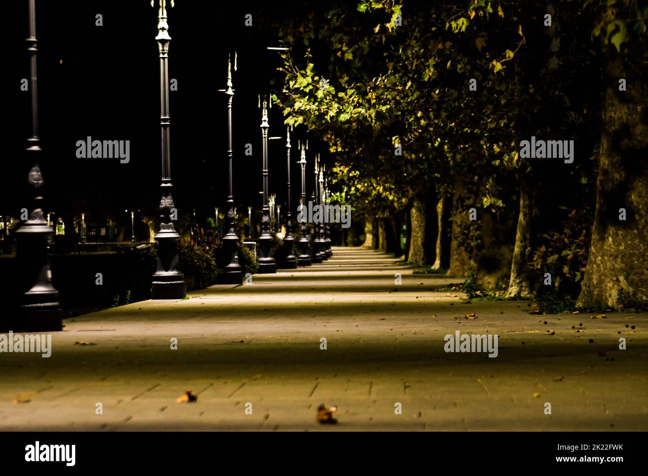 A sidewalk with street lamps during nighttime Stock Photo - Alamy