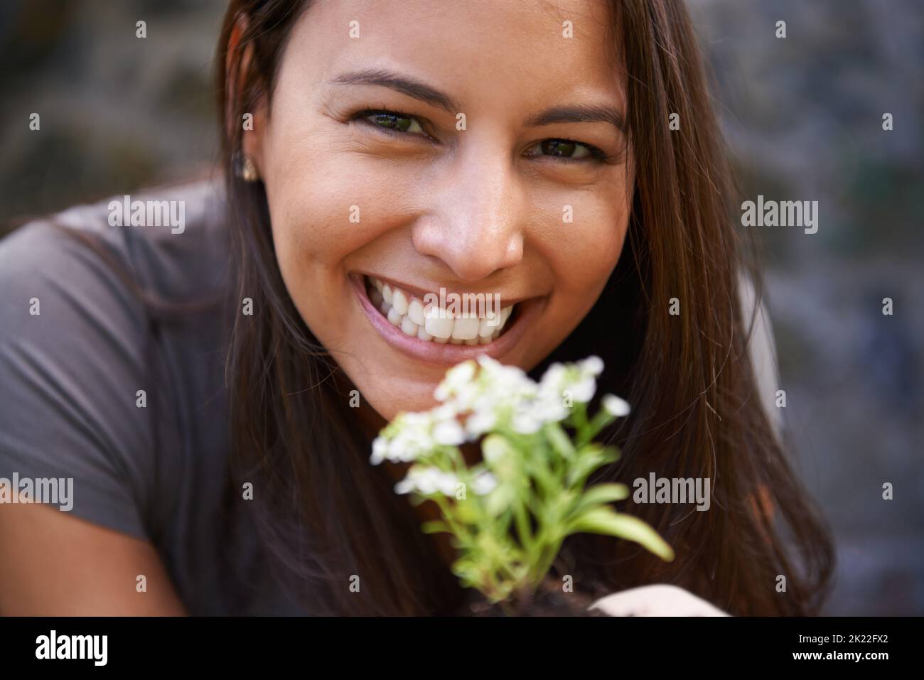 My favourite annual. Close up shot of a young woman holding up an ...