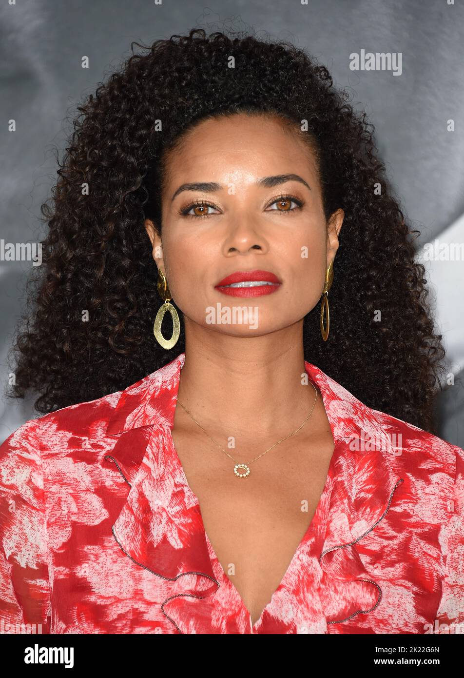Rochelle Aytes 2022