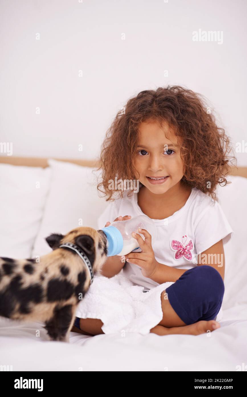 Pets make the best friends. An adorable young girl feeding her piglet Stock Photo - Alamy