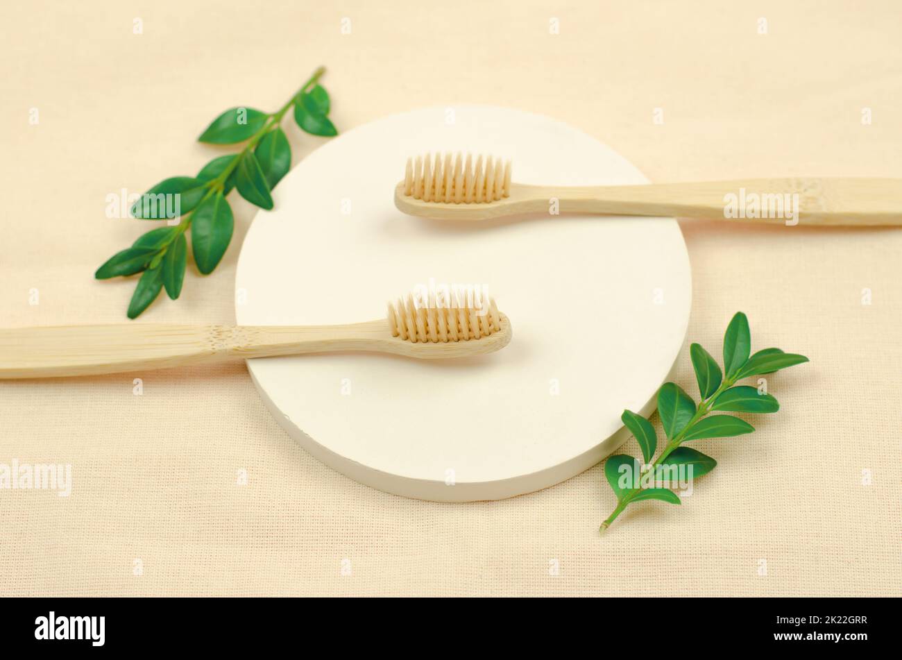 Eco-friendly personal hygiene items. Two wooden toothbrushes and green ...
