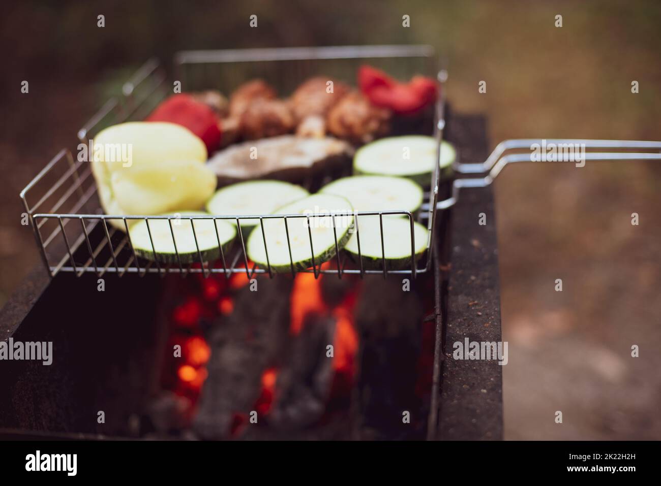 Outdoor barbeque grill. Summer picnic. Outdoor recreation. Food cooked ...