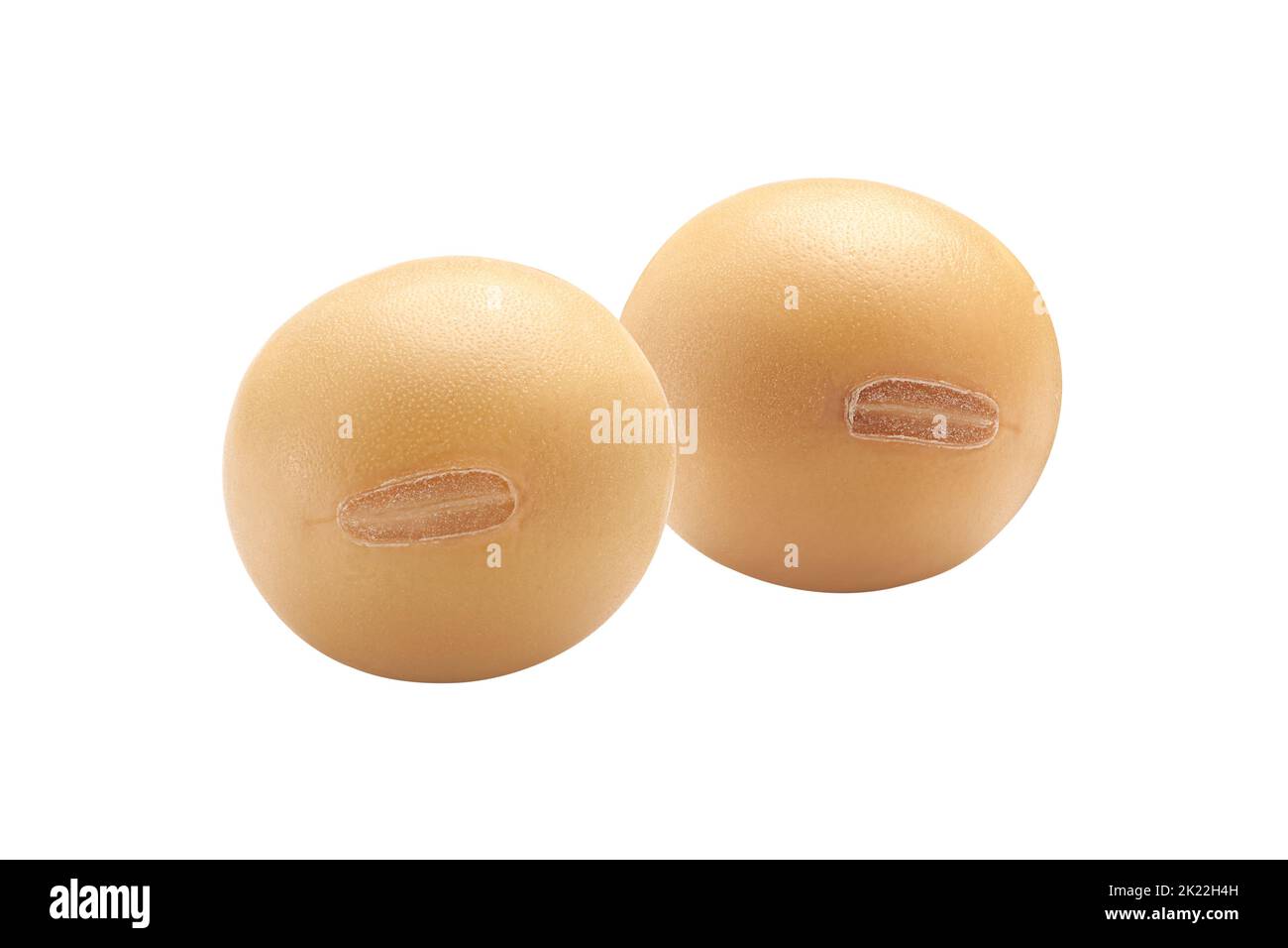 Soybean isolated hi-res stock photography and images - Alamy