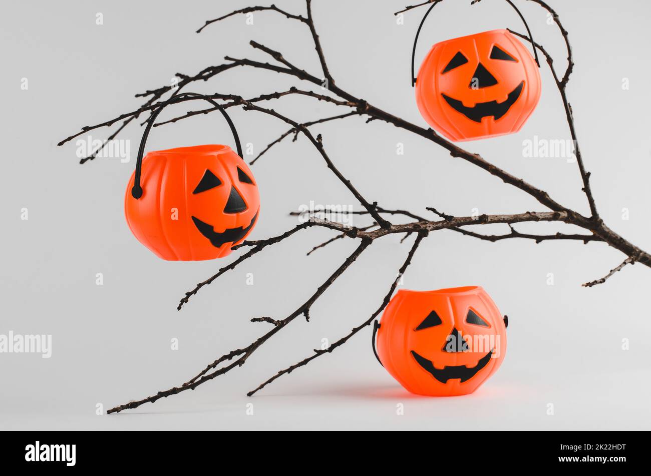Halloween pumpkins Jack Lantern hang on a tree branch on a white ...