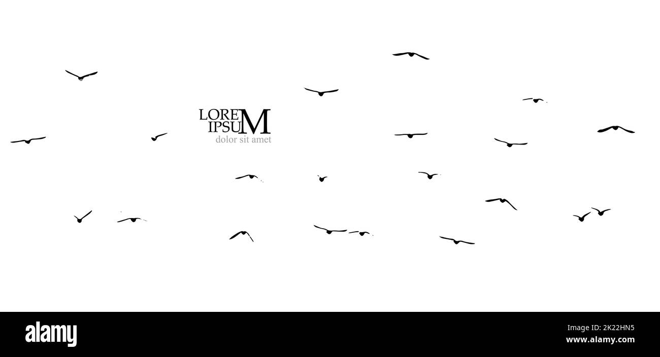 A flock of flying birds. Free birds. Vector illustration Stock Vector ...