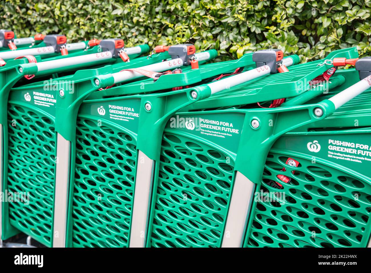 Supermarket trolleys in Sydney Australia made from recycling and ...