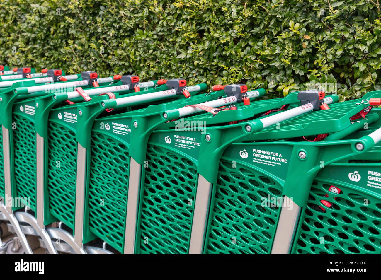 Supermarket trolleys in Sydney Australia made from recycling and ...