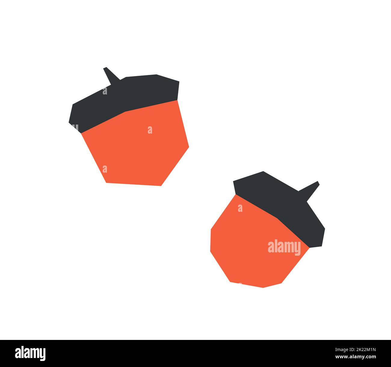 Vector isolated illustration with two botanical elements - flat nuts ...