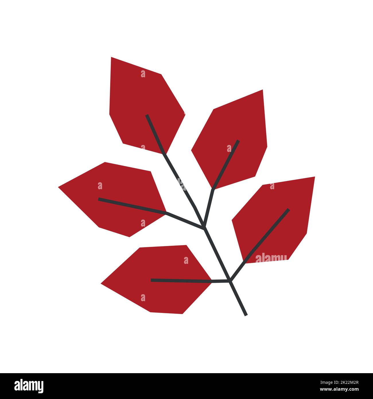 Vector isolated illustration with flat botanical element. Geometrical ...