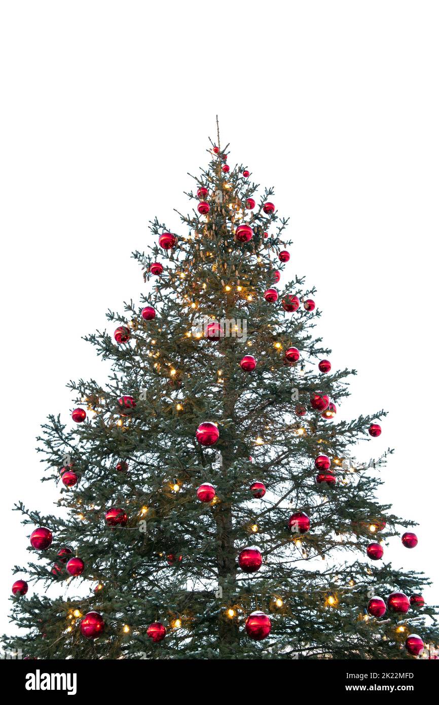 Christmas tree with red balls and light garland isolated on white ...