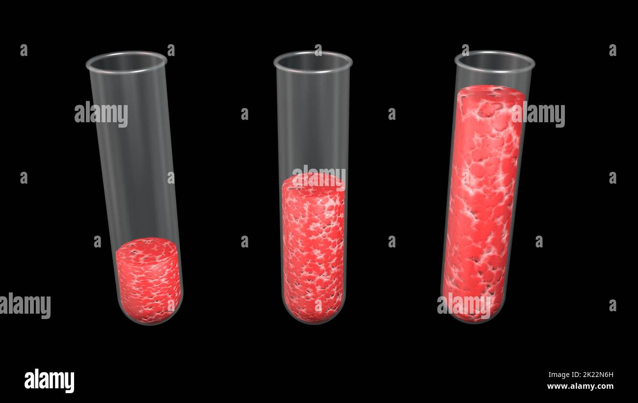 Lab grown meat. Synthetic meat. 3d illustration render Stock Photo - Alamy