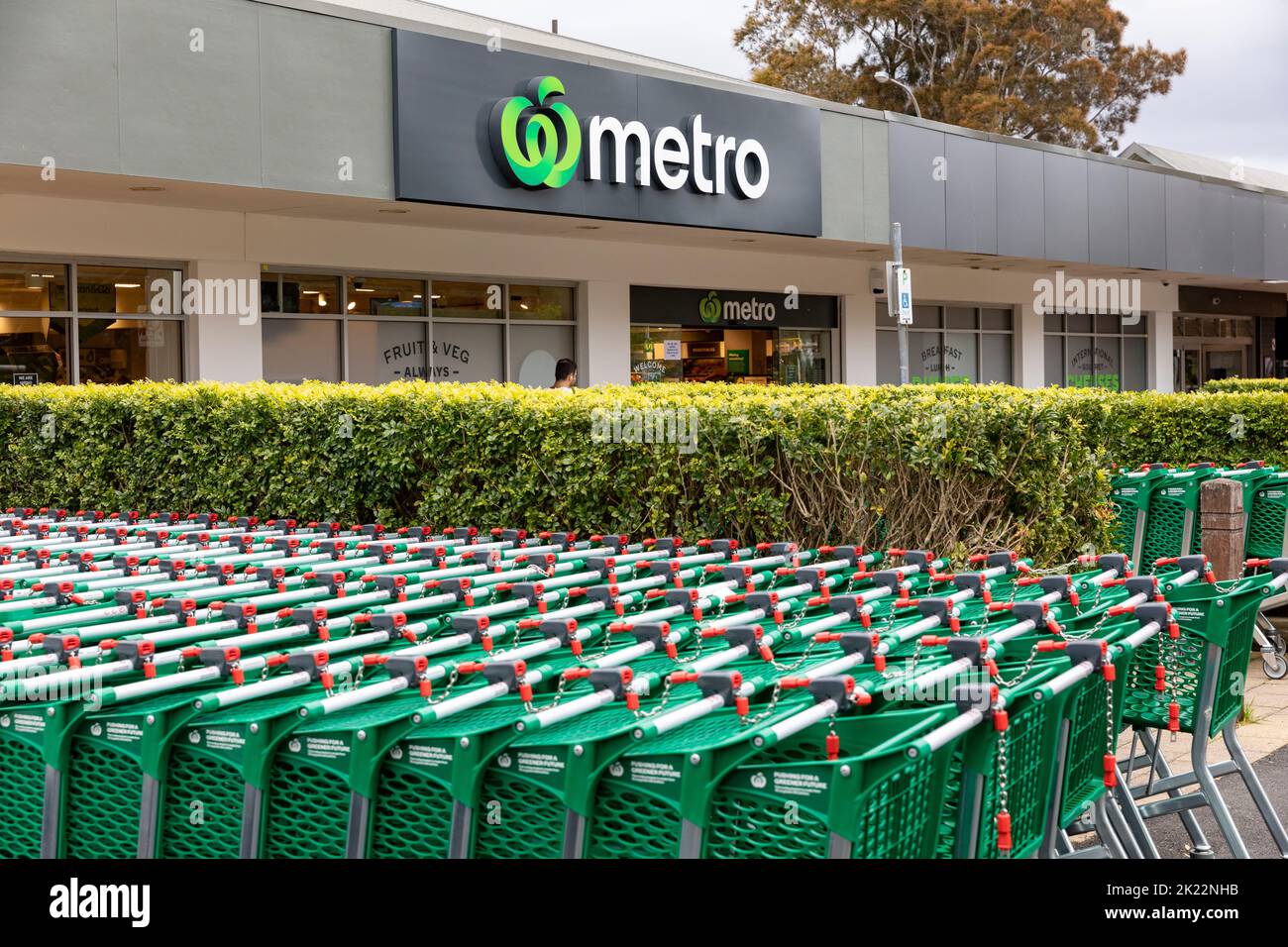 Woolworths metro supermarket in Avalon Beach Sydney, with trolleys made ...