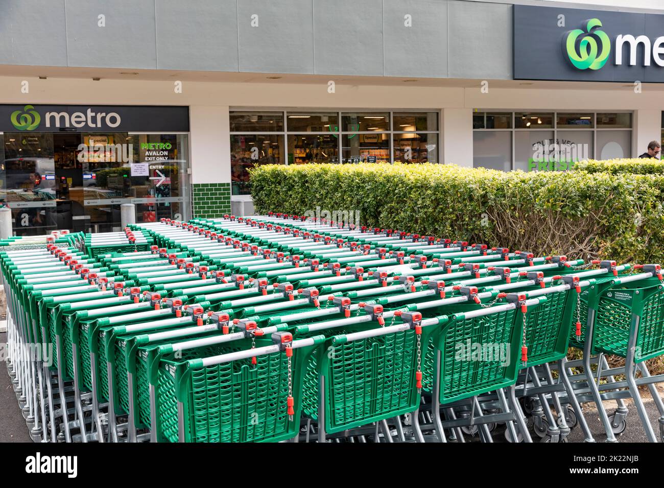 Woolworths metro supermarket in Avalon Beach Sydney, with supermarket ...