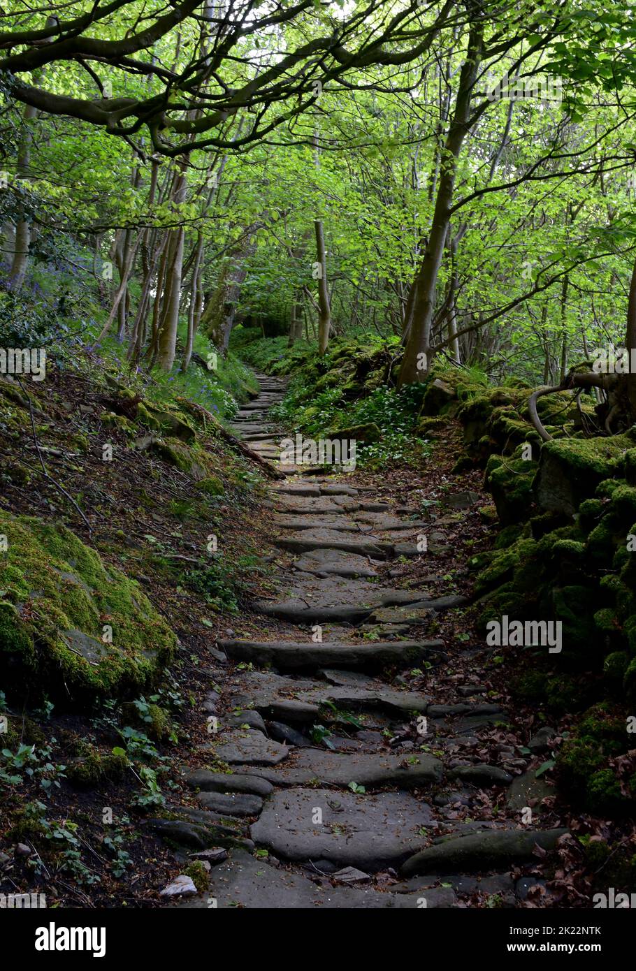 Winding stone hiking trail known as the nun steps in England Stock ...