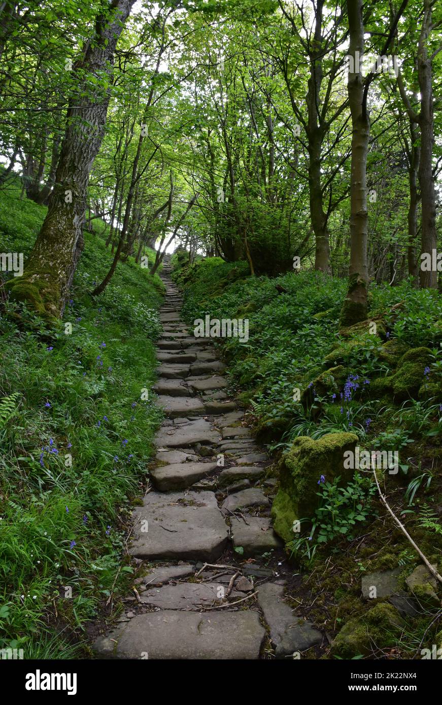 Nun steps hi-res stock photography and images - Alamy