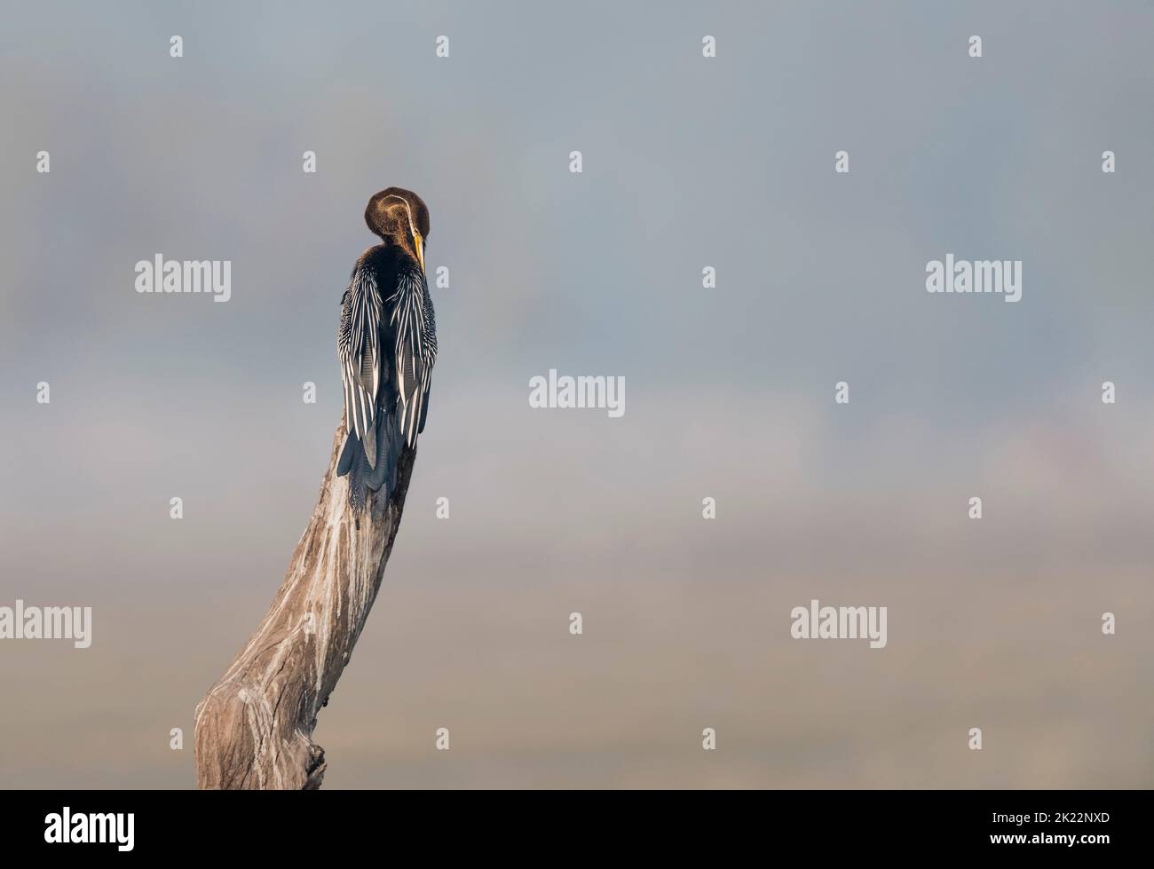 One with nature Stock Photo - Alamy