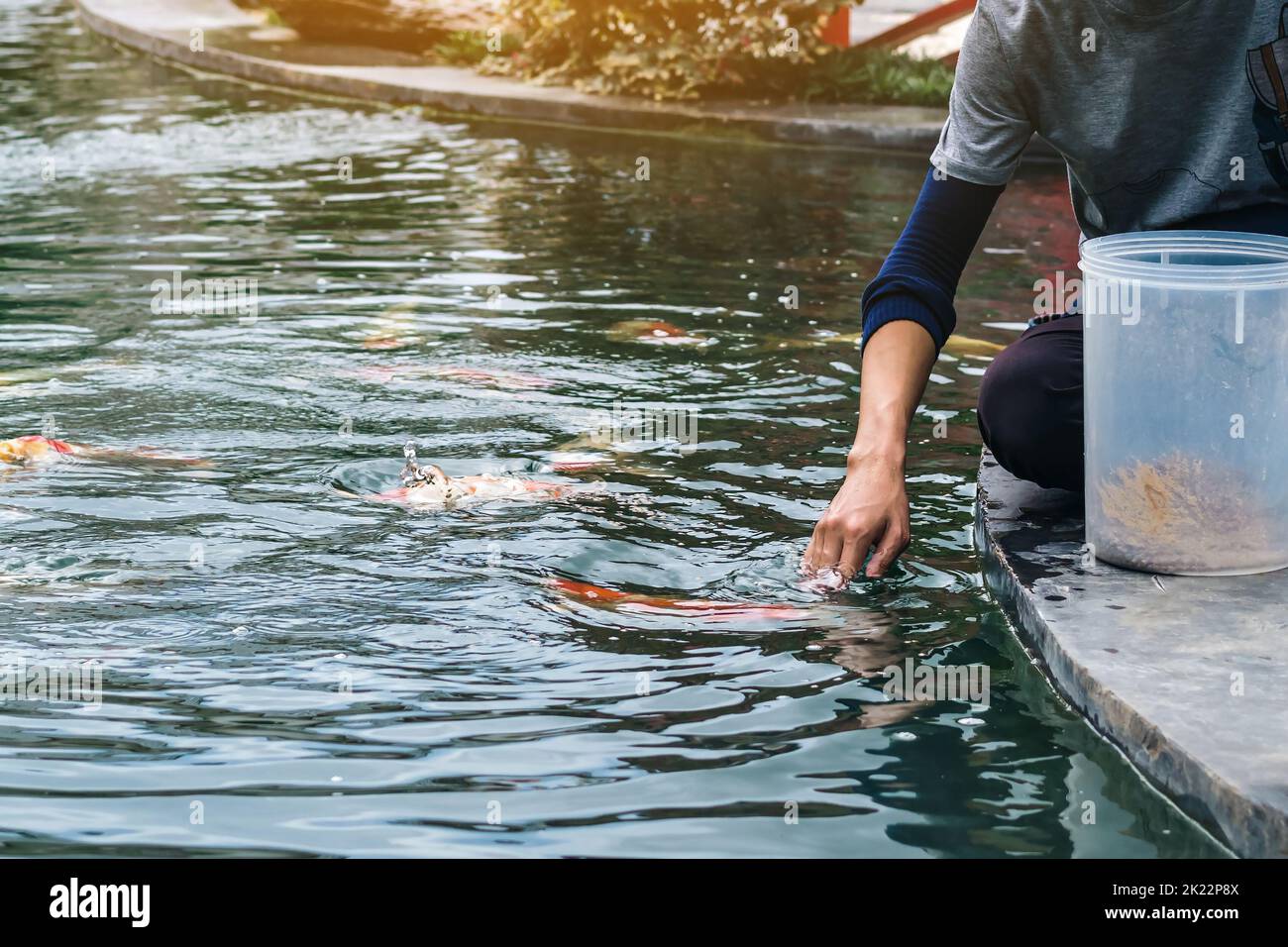 Asian male worker take care and feeding food by hand to his lovely pet ...
