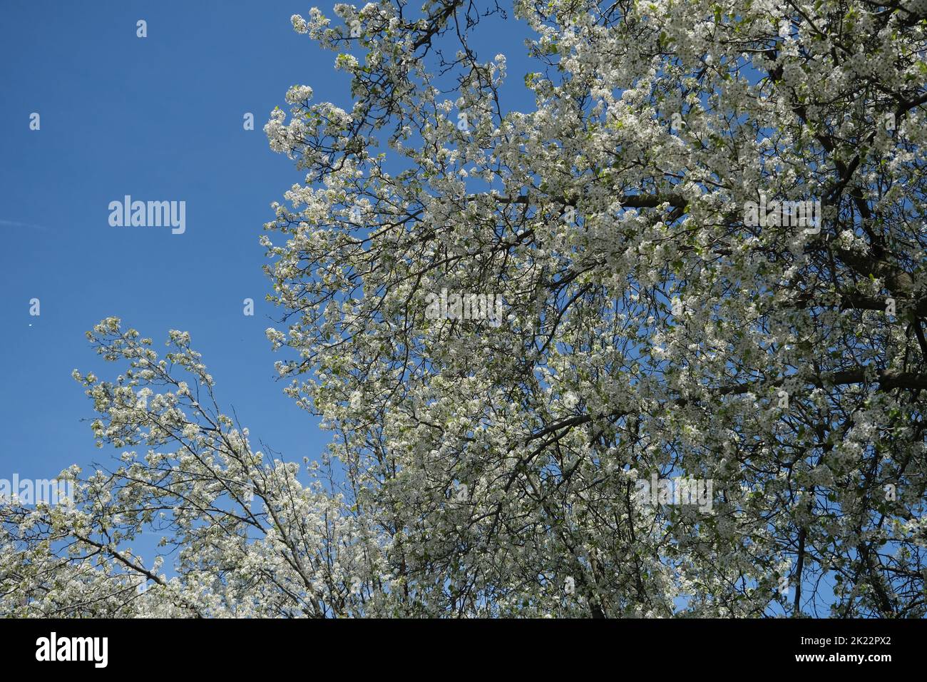 United_states_of_america hi-res stock photography and images - Alamy