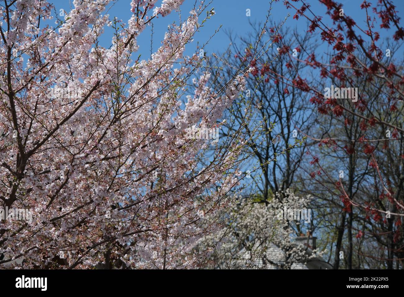 colours of spring Stock Photo - Alamy