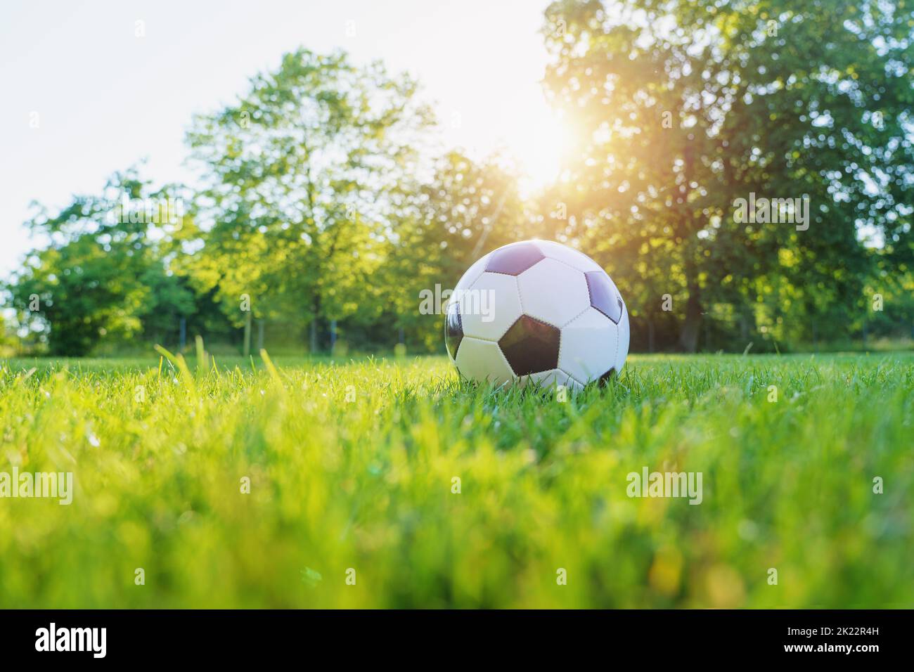 Traditional soccer ball on soccer field Stock Photo - Alamy