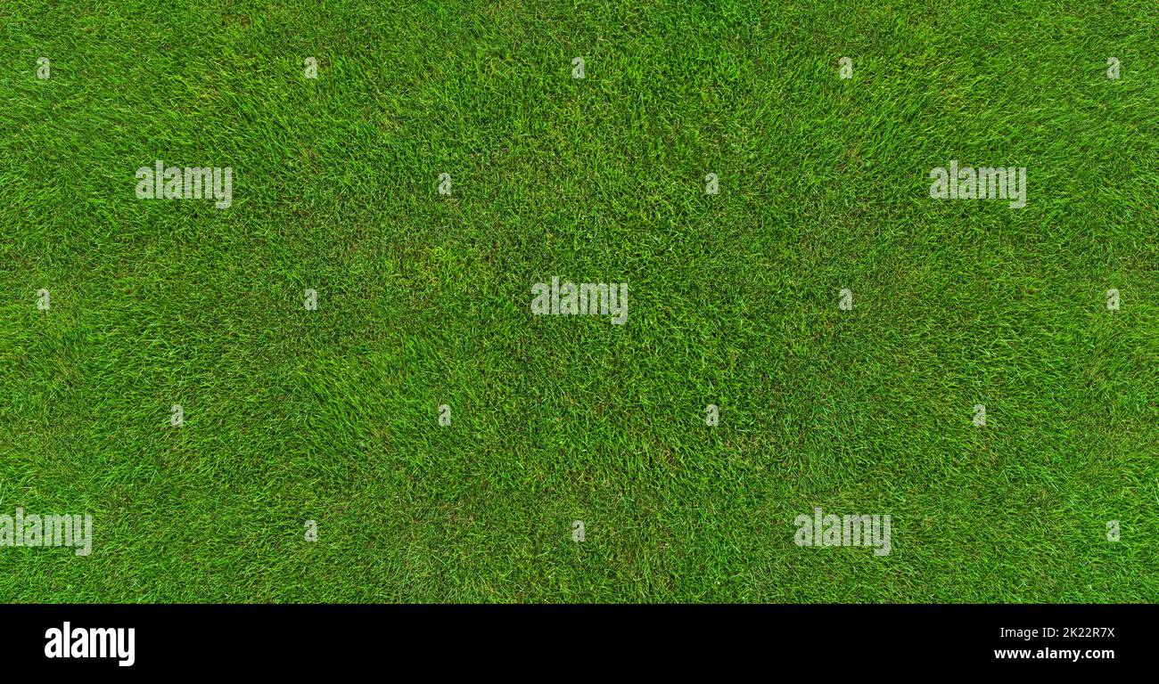 green grass texture - well-groomed turf in the garden Stock Photo - Alamy
