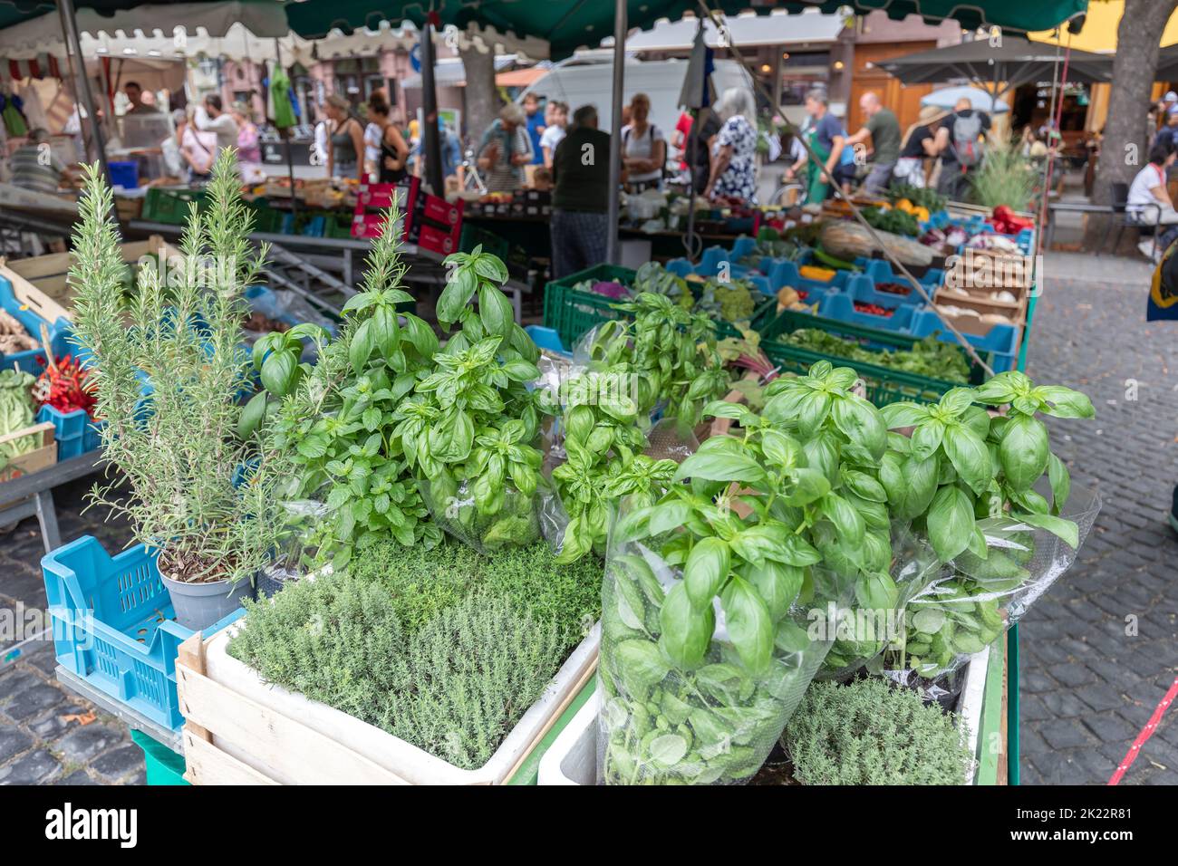 boxes of fresh herbs on a market stall Stock Photo - Alamy