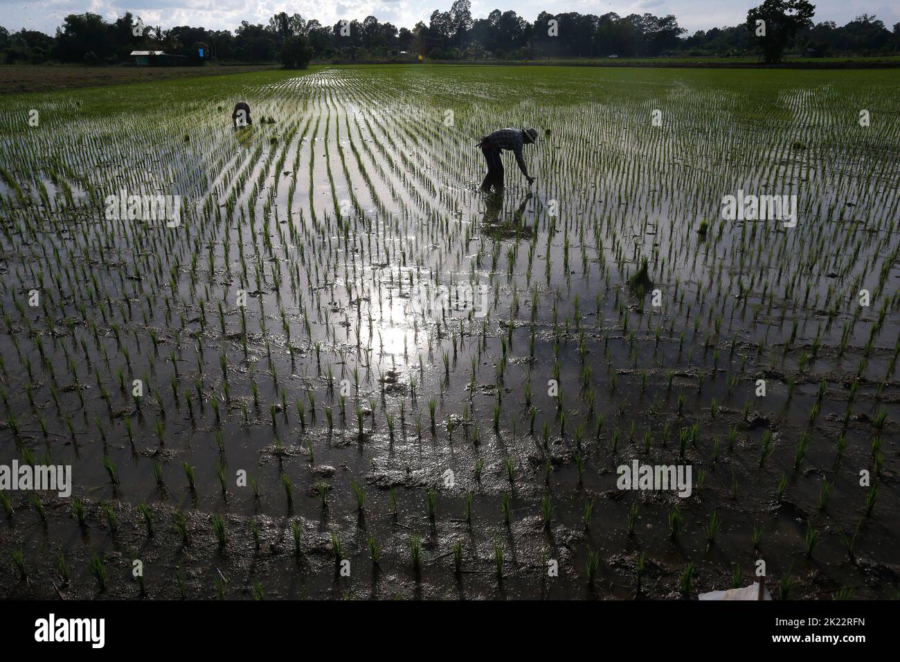 Nakhon Sawan, Thailand. 21st Sep, 2022. Voonying Nakasut and his wife ...