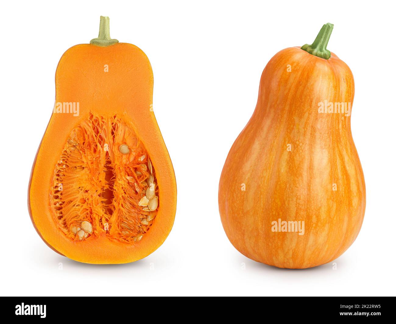 butternut squash half isolated on white background with full depth of ...