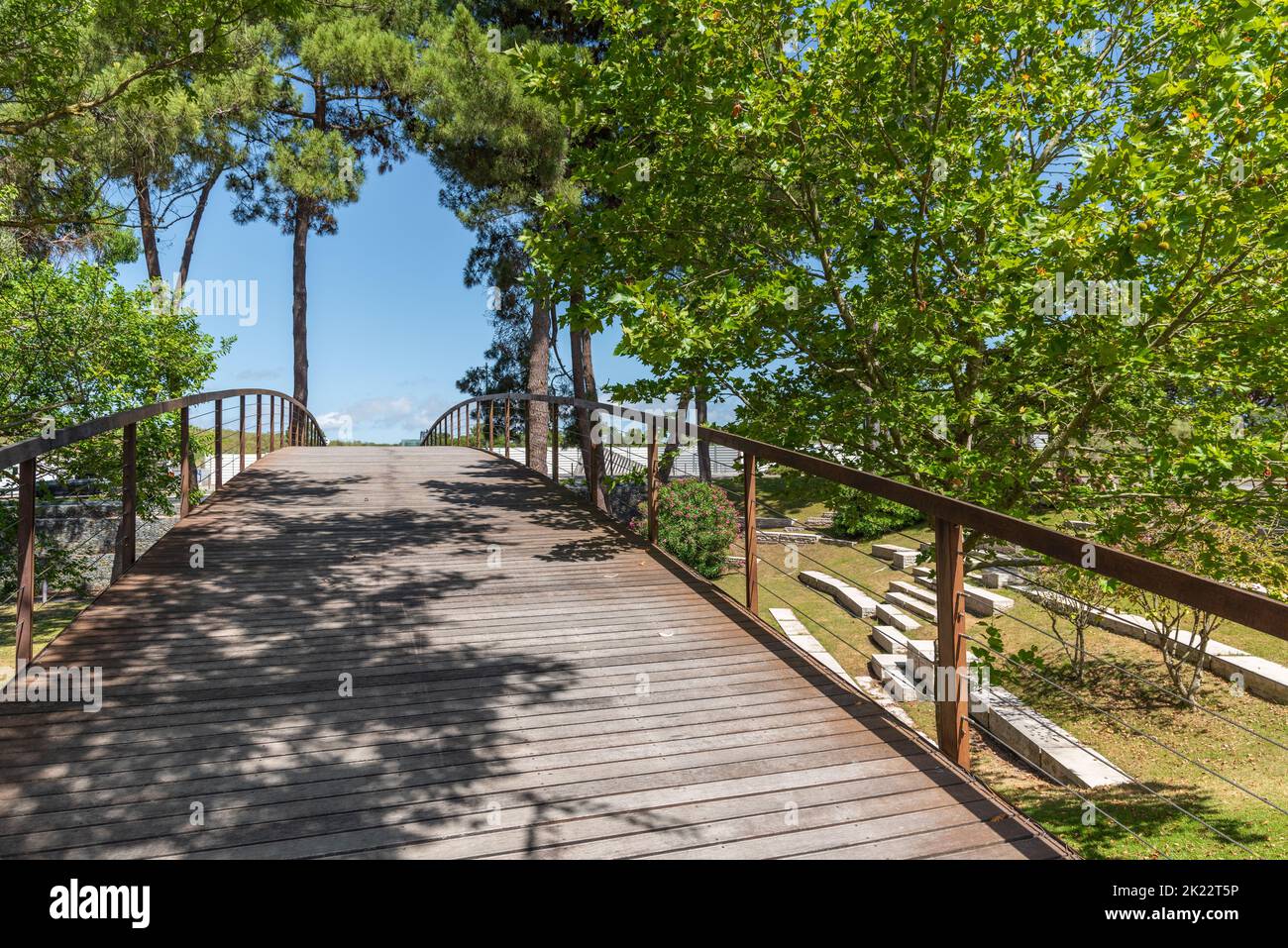 An aerial view of wooden bridge surrounded by growing trees in Troia ...