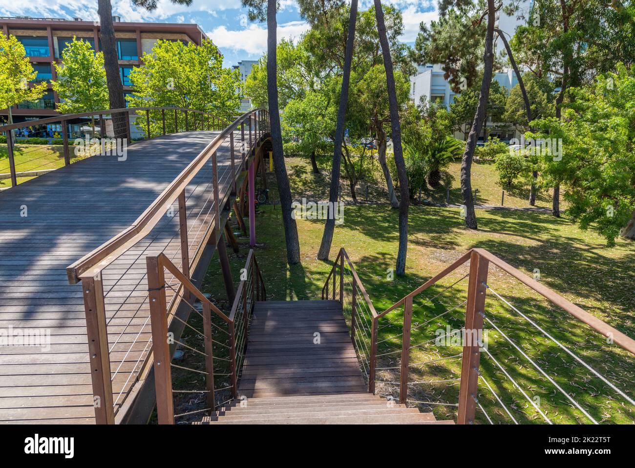 An aerial view of wooden bridge surrounded by growing trees in Troia ...