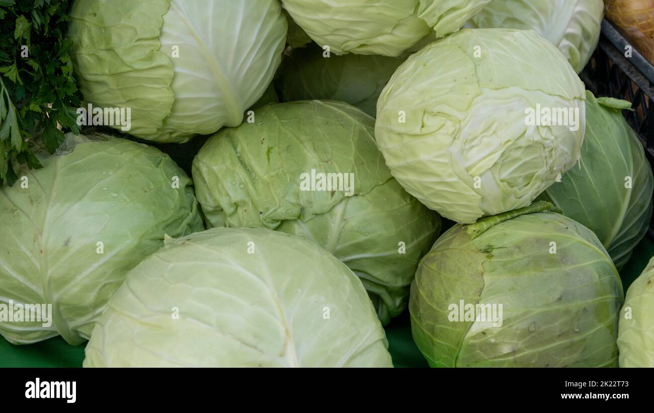 There is a lot of fresh healthy cabbage on the market, a delicious ...
