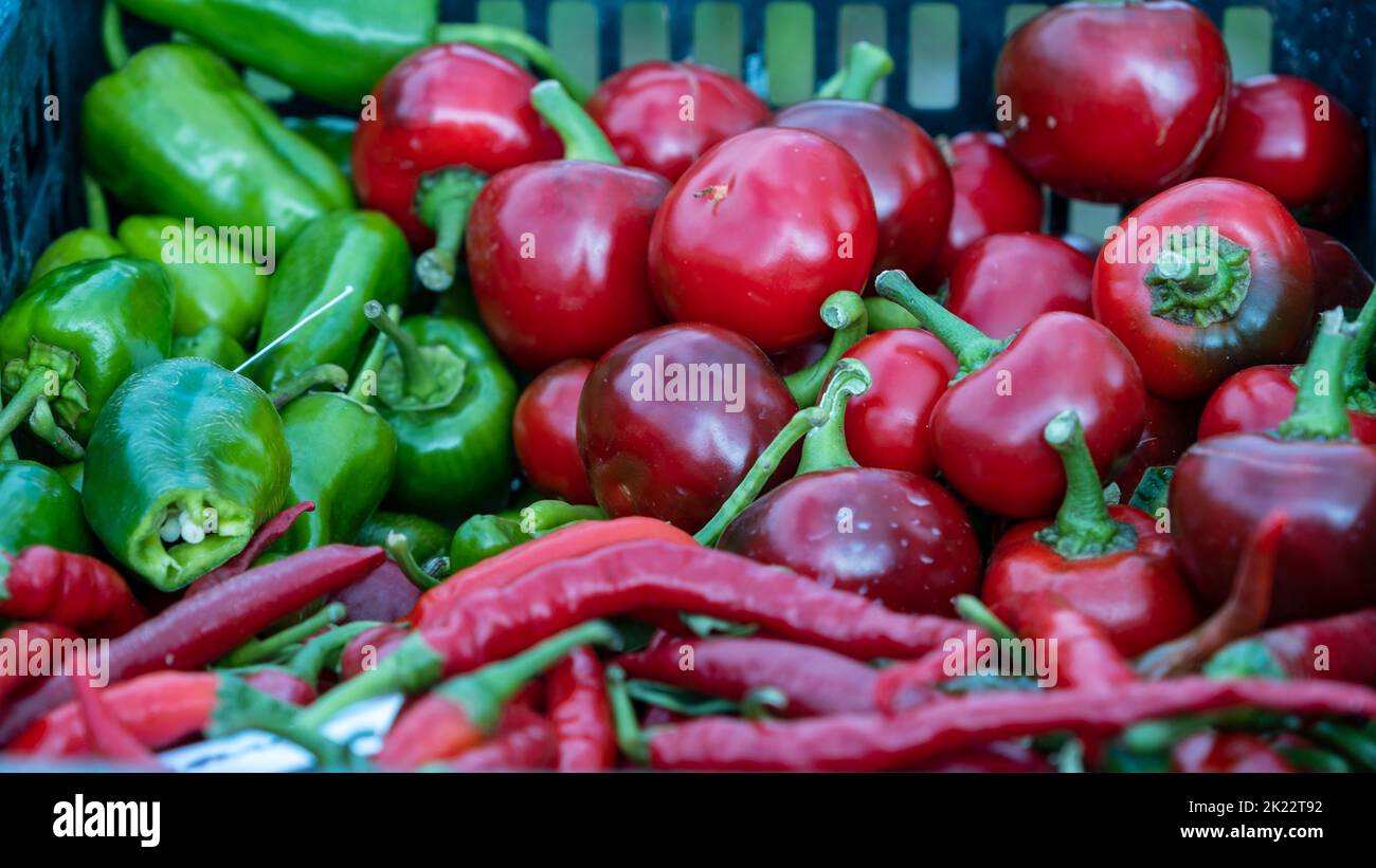 Bright red and green Florida peppers at a fruit and vegetable stand at ...