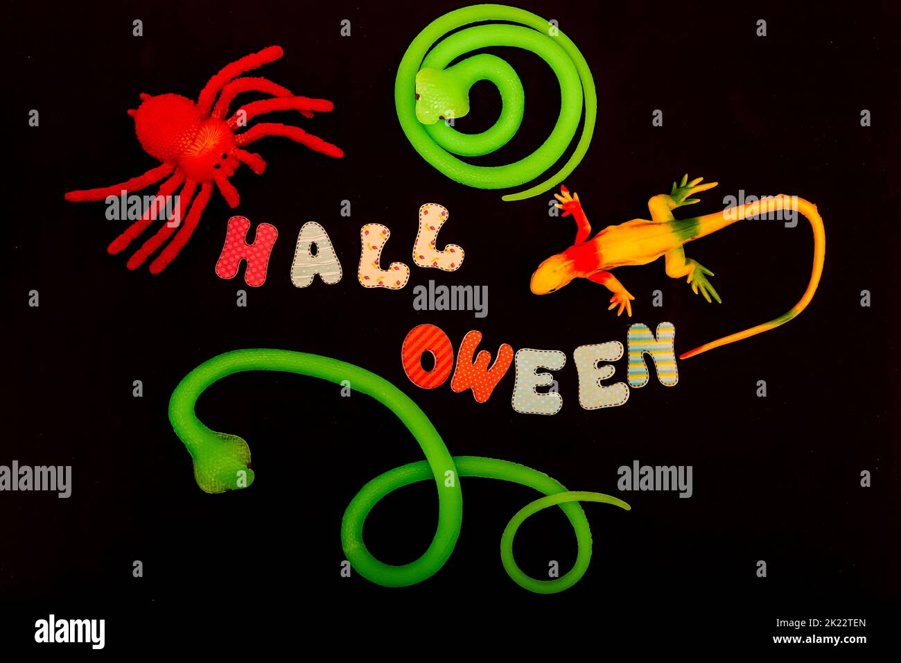 Spider, snake and lizard on a black background bright composition for ...