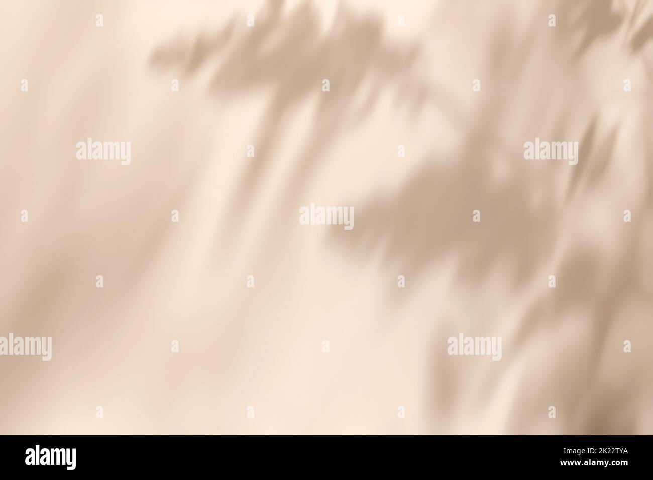 Shadow of delicate grass leaves on solid beige wall texture background ...