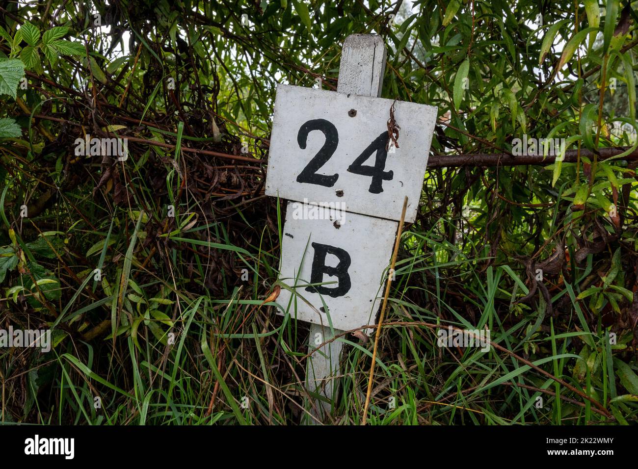 Number 24b hi-res stock photography and images - Alamy