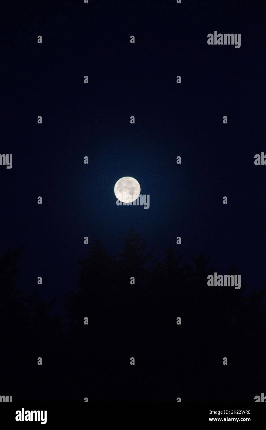 Bright white moon on a dark night Stock Photo - Alamy