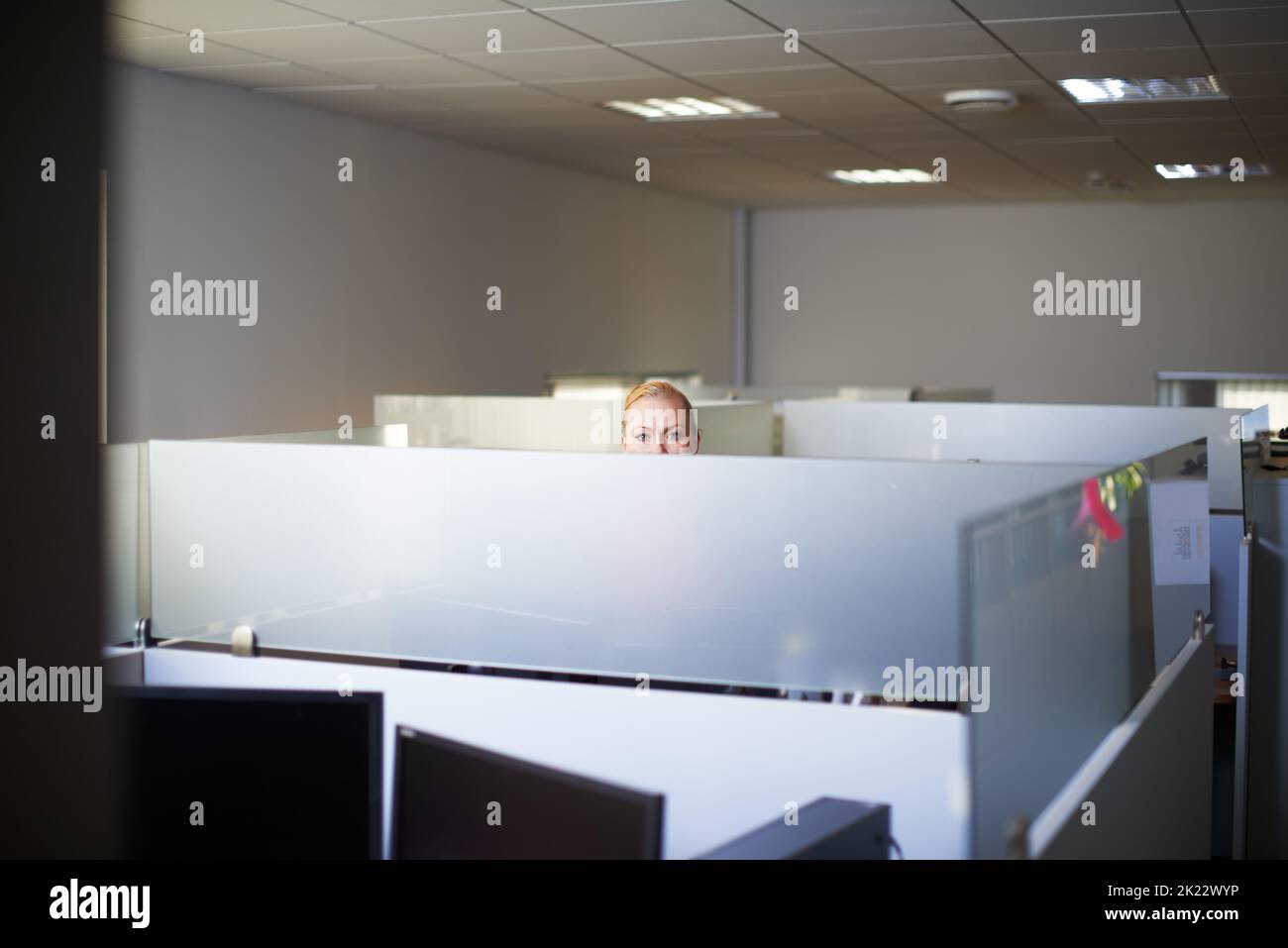 Putting in some extra hours. Portrait of an attractive young woman standing in her office ...