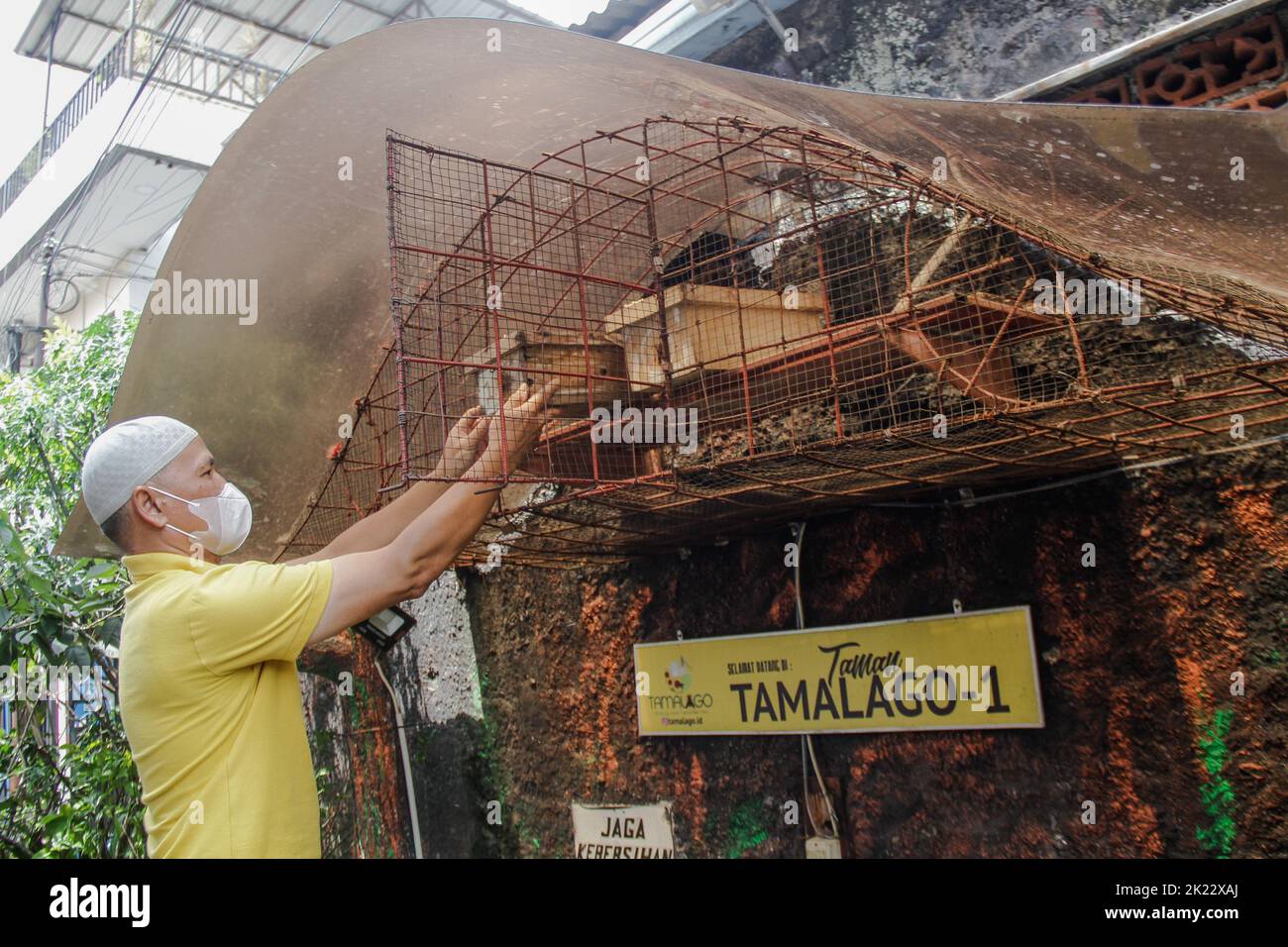 Trigona itama bee hi-res stock photography and images - Alamy