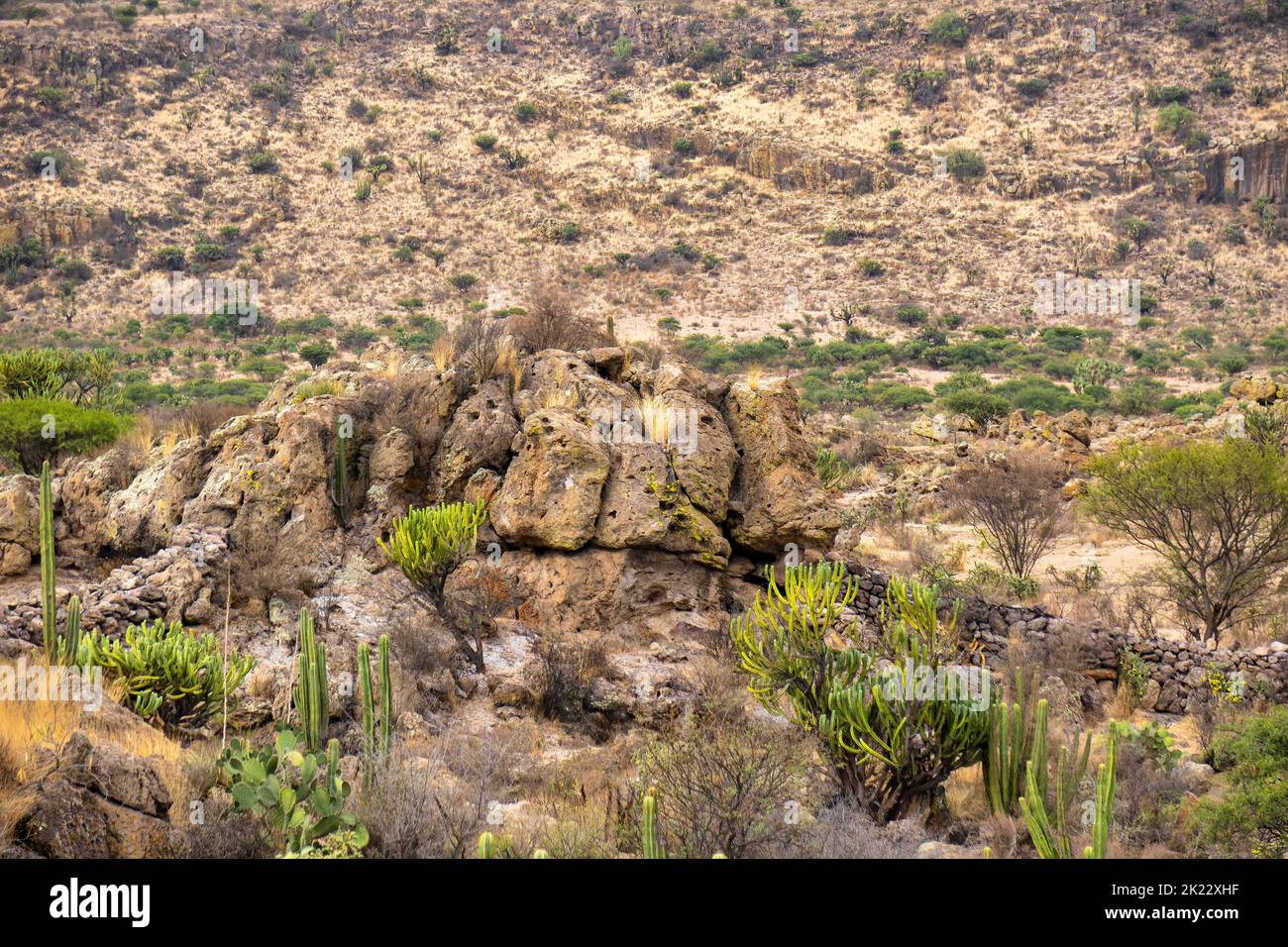 Victoria guanajuato hi-res stock photography and images - Alamy