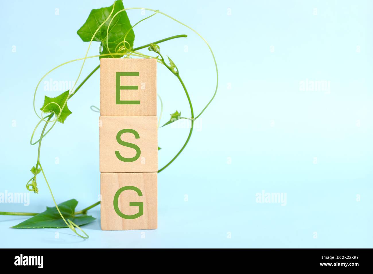 Sustainable and responsible business and ESG or Environmental Social ...