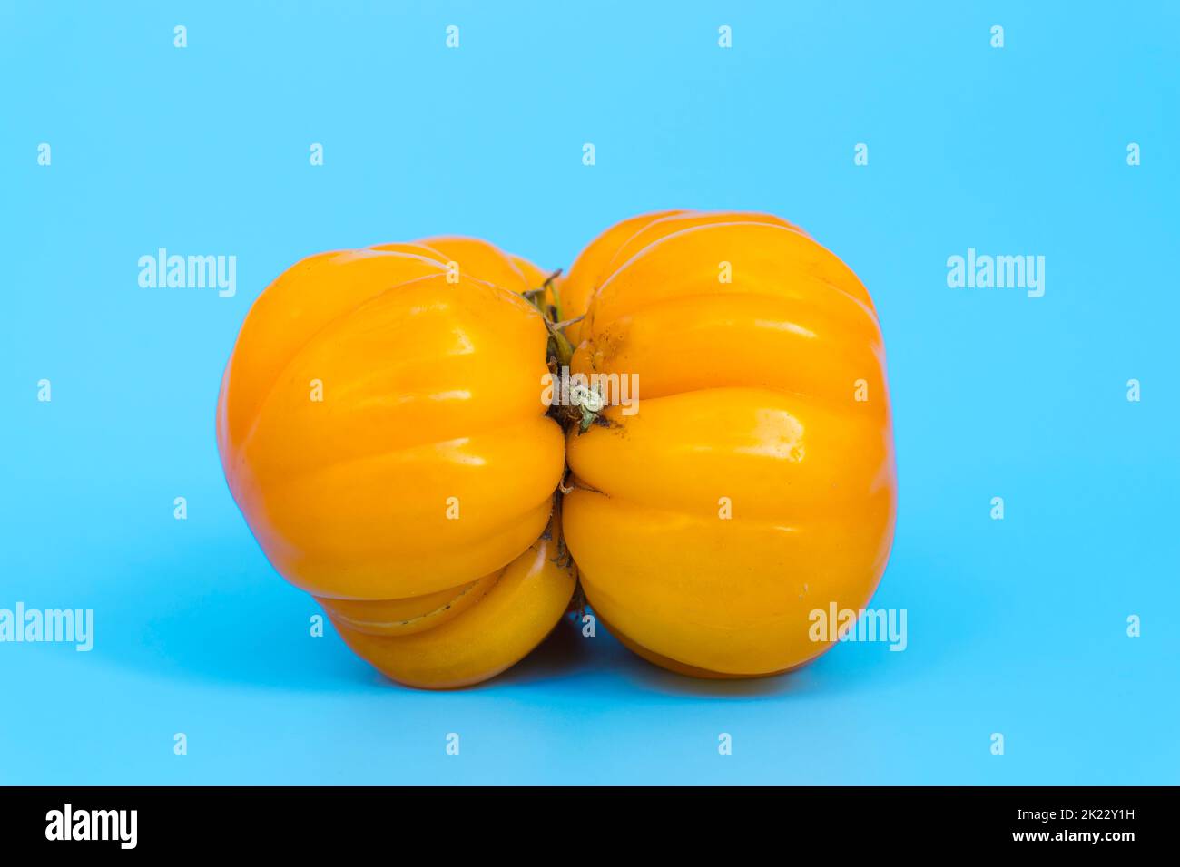 Ugly vegetables concept. Tomatoes of various unusual shapes on a blue ...