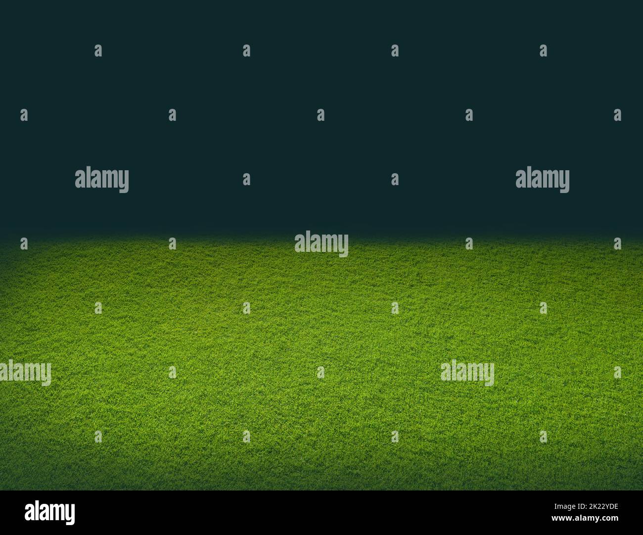 Green grass field isolated on white background, for montage product ...