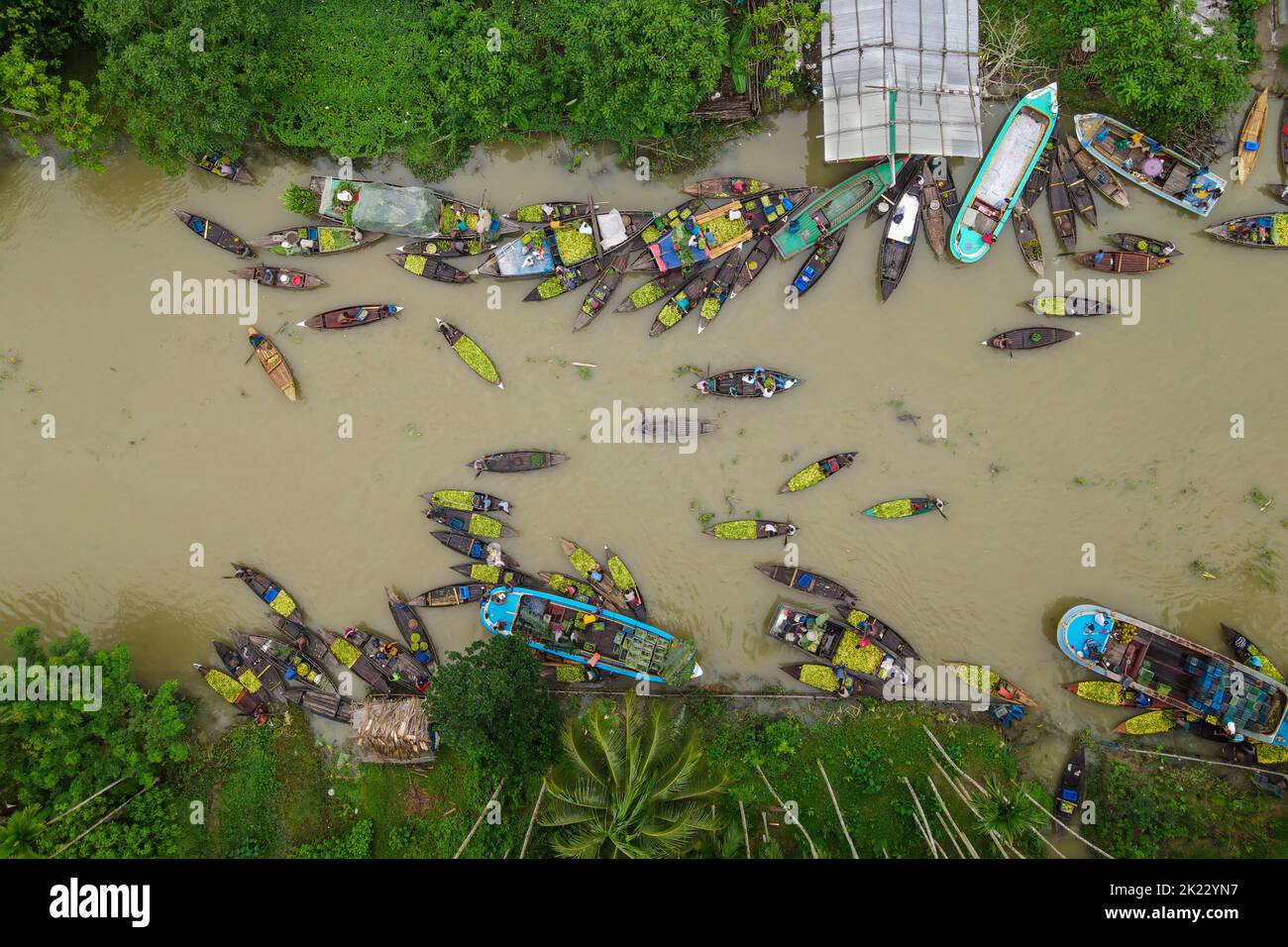 The floating guava market is located in Jhalakathi and Swarupkathi in ...