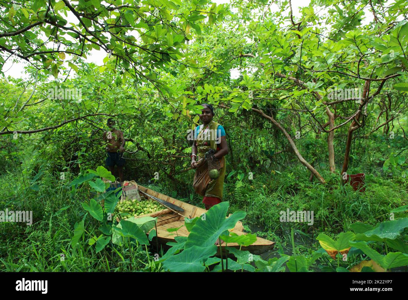 Daluhar hi-res stock photography and images - Alamy