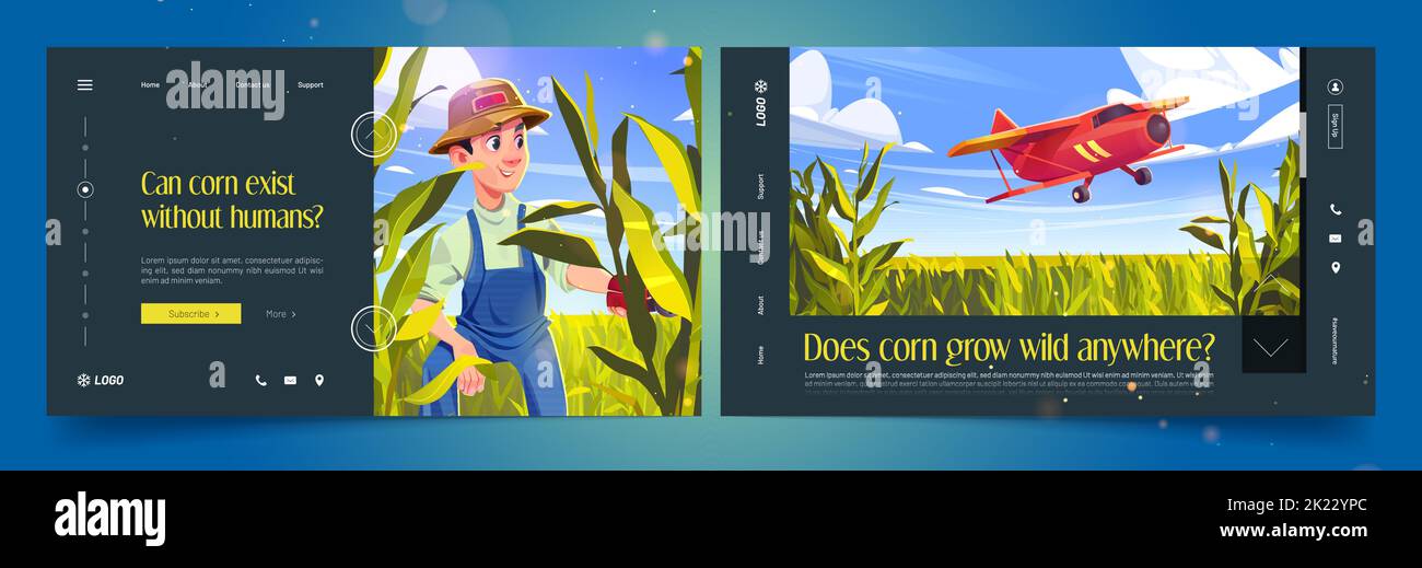 Corn growth banners with farmer on maize field and flying red airplane ...