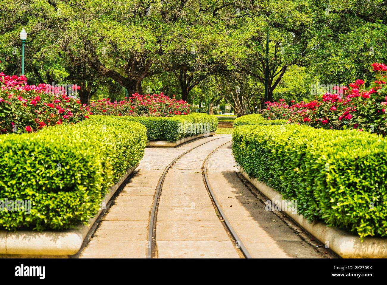 Rose stair hi-res stock photography and images - Alamy