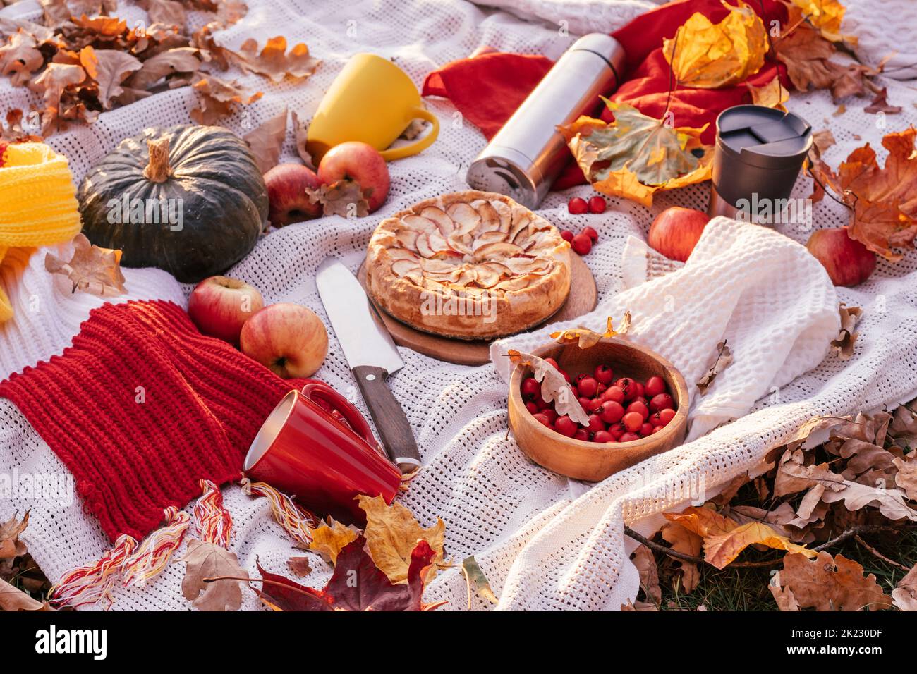 Hawthorn tea in cup hi-res stock photography and images - Alamy