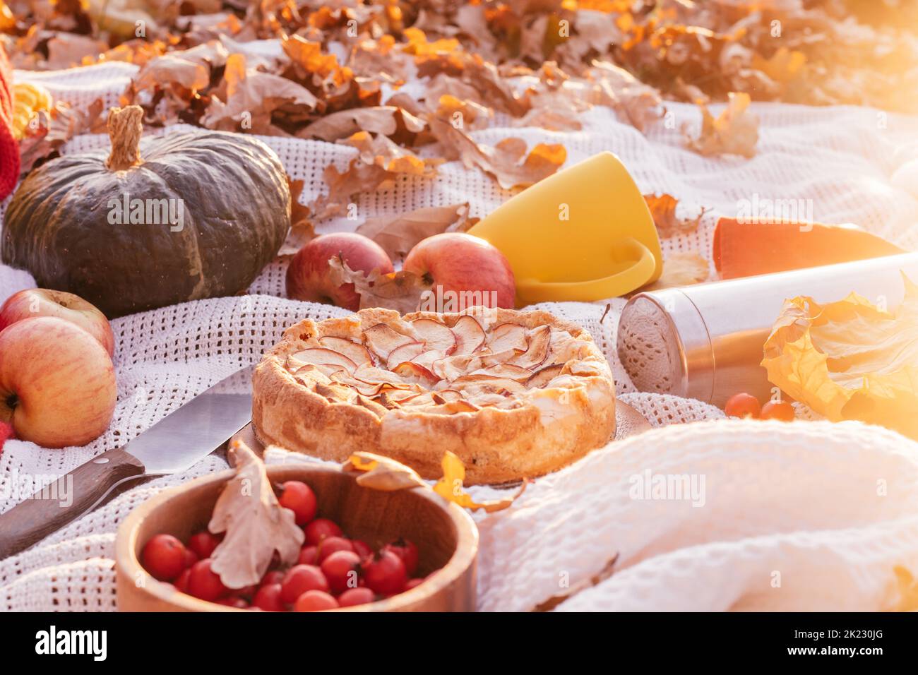 Autumn picnic in nature. Plaid with apple pie, cups of red and yellow ...