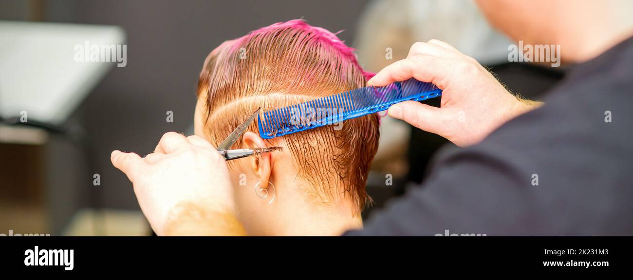 Haircut of dyed short pink wet hair of young caucasian woman by a male ...